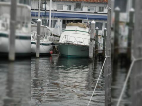 1977 Egg Harbor 33 Sedan for sale. View price, photos and Buy 1977 Egg ...