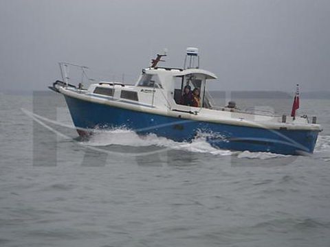 1975 Mitchell 31 for sale. View price, photos and Buy 1975 Mitchell 31 ...