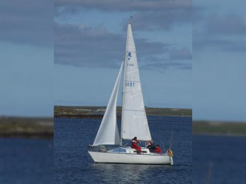 Trapper TS240 for sale - Daily Boats | Buy, Review, Price, Photos, Details