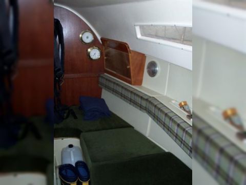 1980 Trapper Ts240 for sale. View price, photos and Buy 1980 Trapper ...