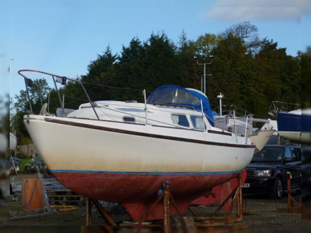 Seamaster 23 for sale - Daily Boats | Buy, Review, Price, Photos, Details