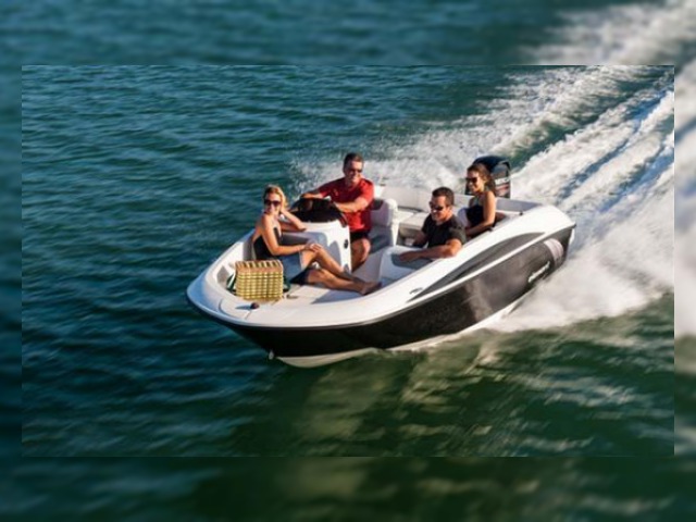 2013 Bayliner Element for sale. View price, photos and Buy 2013 ...