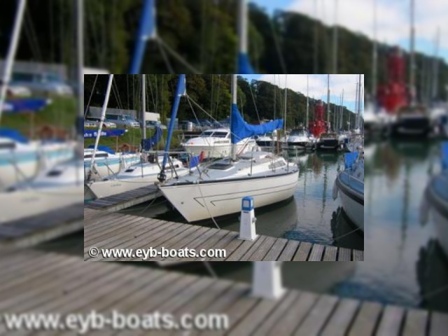 1989 Seawolf Yachts 30 for sale. View price, photos and Buy 1989 ...