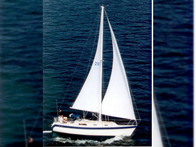 1984 Irwin 30 Citation for sale. View price, photos and Buy 1984 Irwin ...