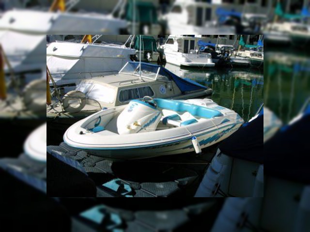 1996 Sea Ray Rayder F14 for sale. View price, photos and Buy 1996 Sea ...