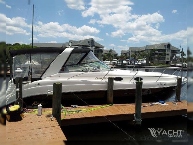 1981 Bluewater 54 for sale. View price, photos and Buy 1981 Bluewater ...