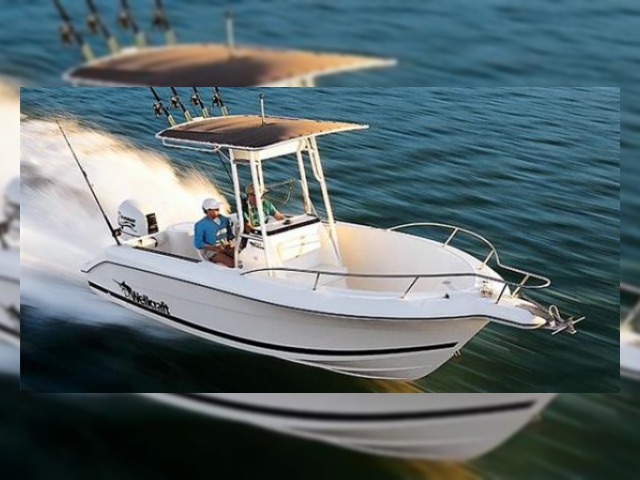 2003 Wellcraft 210 Fisherman Cc W/Trailer for sale. View price, photos ...