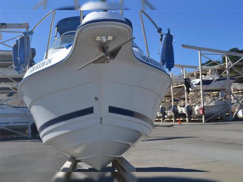 2001 Cobia 230 W/A for sale. View price, photos and Buy 2001 Cobia 230 ...