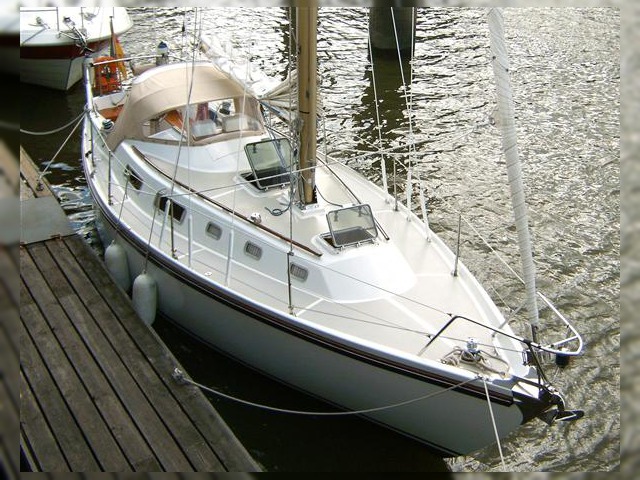 Buy Conyplex (NL) CONTEST 33 | Conyplex (NL) CONTEST 33 for sale