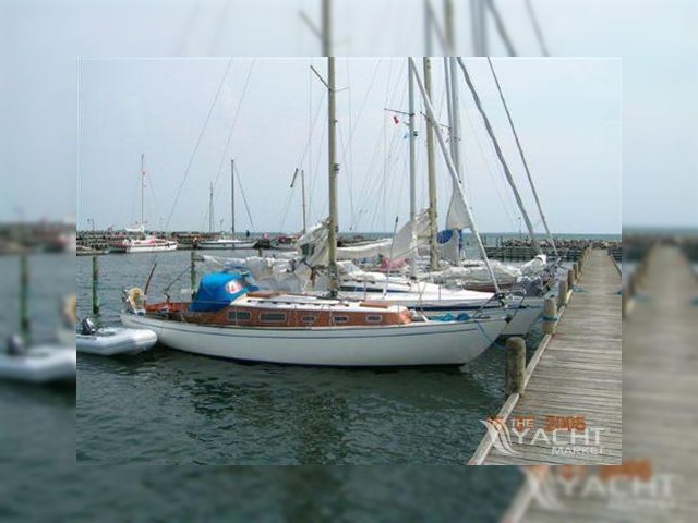 1976 Vindo 30 for sale. View price, photos and Buy 1976 Vindo 30 #75603