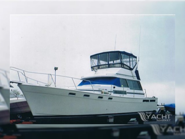 1988 Bayliner 3818 for sale. View price, photos and Buy 1988 Bayliner ...