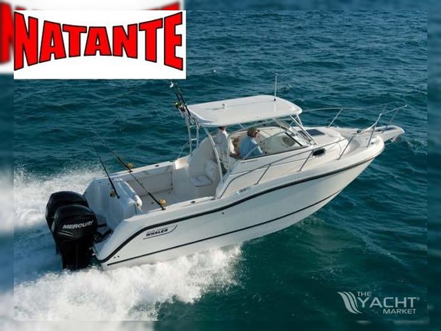 2005 Boston Whaler 255 Conquest for sale. View price, photos and Buy ...