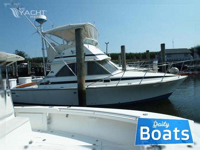 1981 Bertram 35 Convertible for sale. View price, photos and Buy 1981 ...