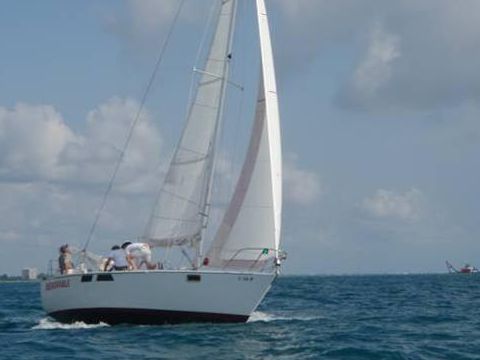 1981 Pearson 30 for sale. View price, photos and Buy 1981 Pearson 30 #7998