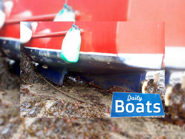 Treeve 16 for sale. View price, photos and Buy Treeve 16 #80123