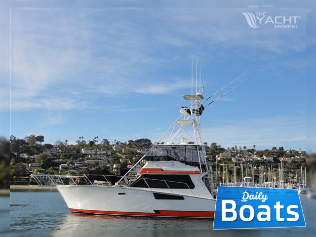 2000 Grizzly Yachts Custom Sportfisher (Cabo 50) for sale. View price ...