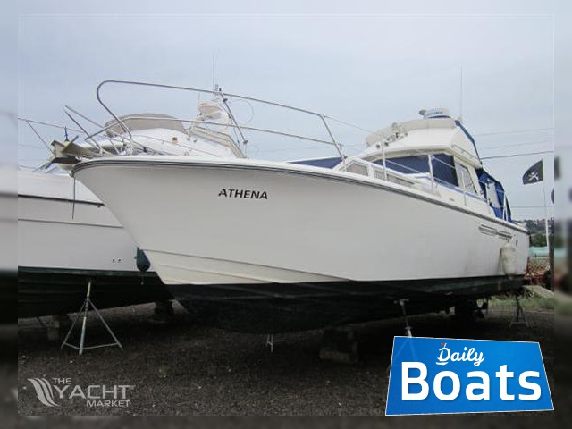 1979 Princess 33 Flybridge for sale. View price, photos and Buy 1979 ...