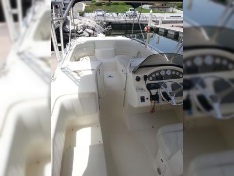 2005 World Cat 270 Sd for sale. View price, photos and Buy 2005 World ...