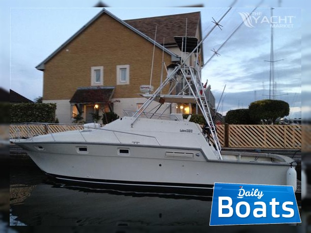 1985 Luhrs 340 Sport Fisher for sale. View price, photos and Buy 1985 ...