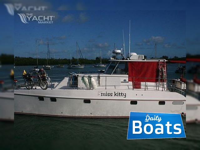 2004 Endeavour Power Catamaran for sale. View price, photos and Buy ...