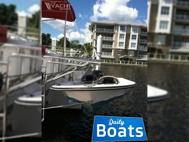 2004 Endeavour Power Catamaran for sale. View price, photos and Buy ...