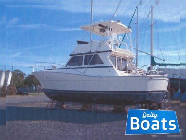 1985 Viking Convertible for sale. View price, photos and Buy 1985 ...