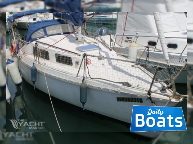 1976 Daimio 23 for sale. View price, photos and Buy 1976 Daimio 23 #85873