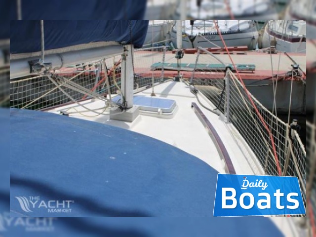 1976 Daimio 23 for sale. View price, photos and Buy 1976 Daimio 23 #85873