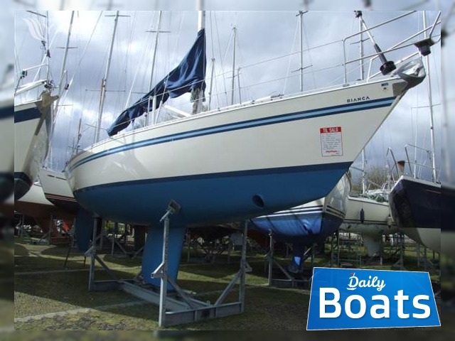 1986 Bianca 111 for sale. View price, photos and Buy 1986 Bianca 111 #86515