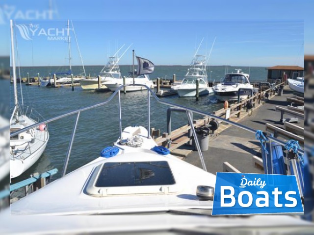 2001 Cobia 230 Walkaround for sale. View price, photos and Buy 2001 ...