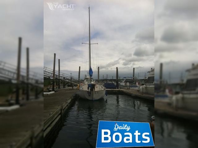 1974 CC 24 for sale. View price, photos and Buy 1974 CC 24 #90552