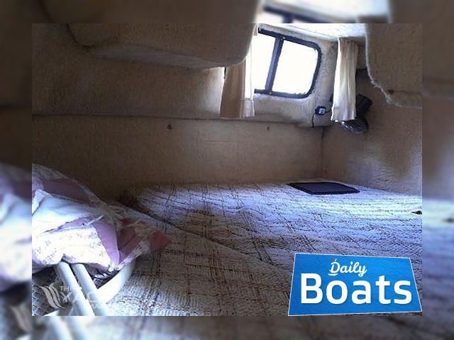 1982 Century 5000 Sun Exp for sale. View price, photos and Buy 1982 Century 5000 Sun Exp #90569