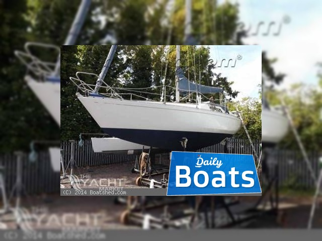 1979 Scampi 30 for sale. View price, photos and Buy 1979 Scampi 30 #91627